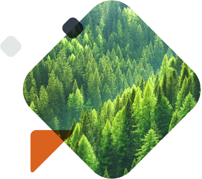 Hydraulic & Pneumatic Seals Manufacturer | Hallite Seals