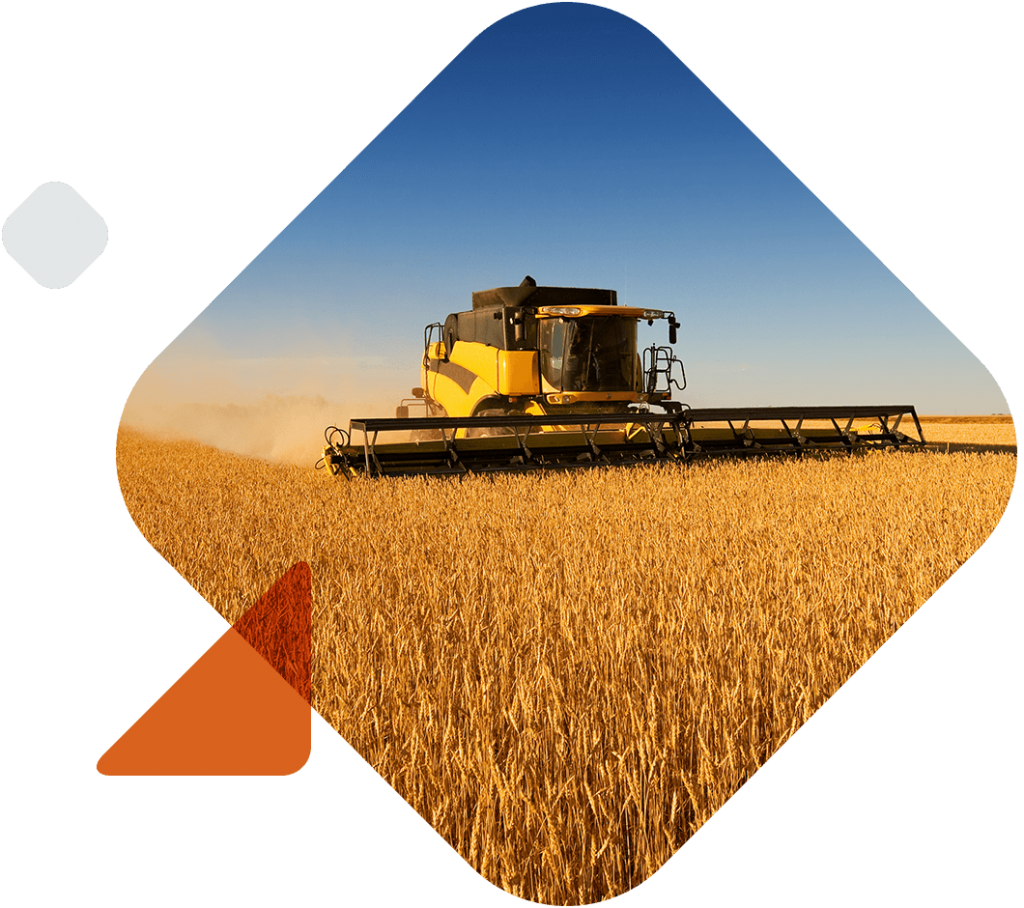 Agricultura - Hallite